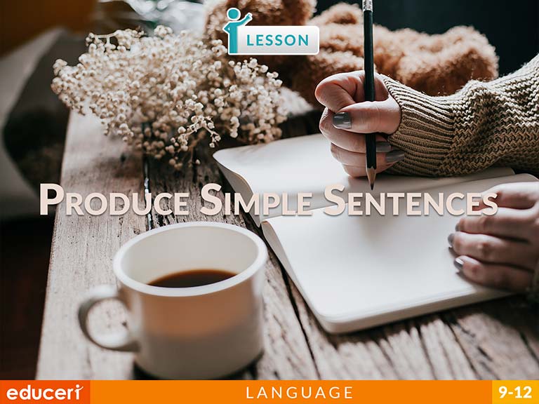 Produce Simple Sentences Lesson Plans